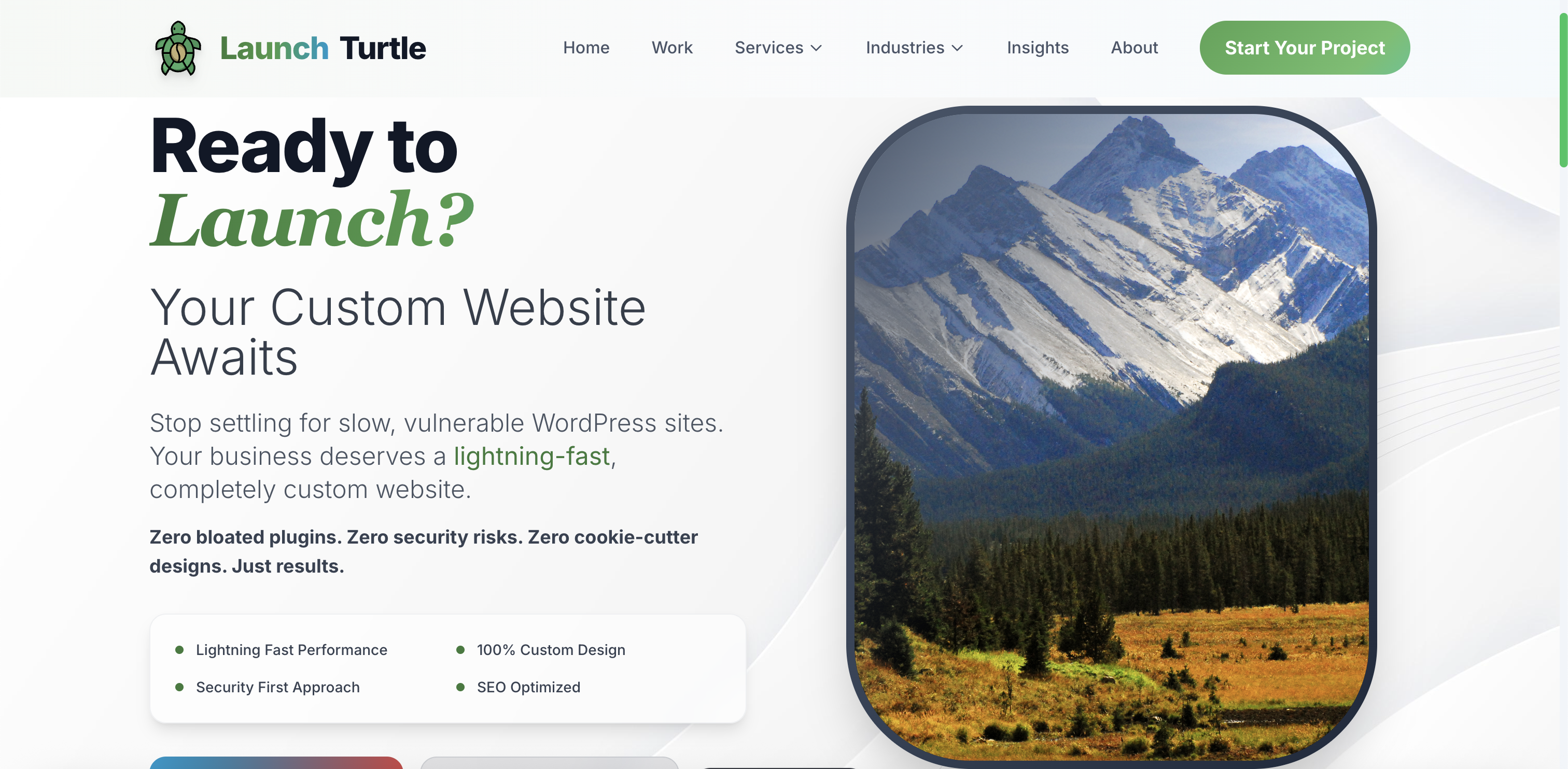 Get a Free Website Audit | Start Your Project | Launch Turtle